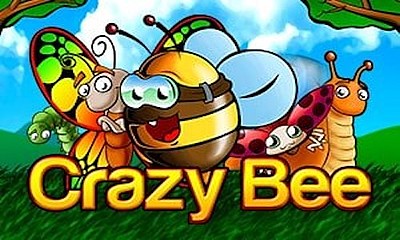 Crazy Bee | Estonia's favourite slot now online