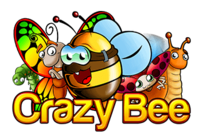 Crazy Bee play online