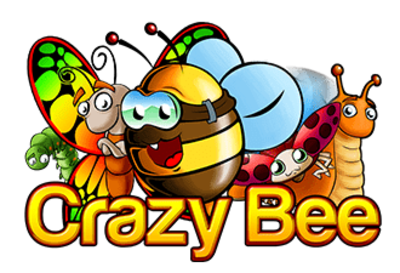 Crazy Bee play online