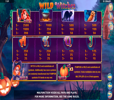Wild Witches play online